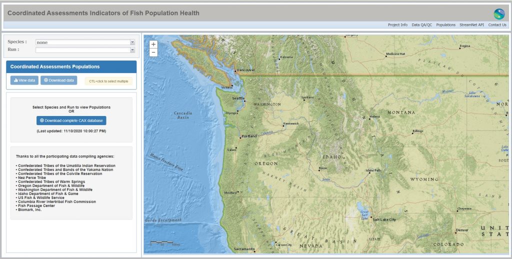 Interactive Dashboards - StreamNet